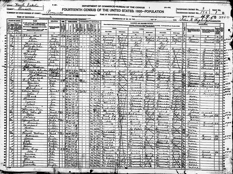 zeltinger/family papers/1920_census_page1